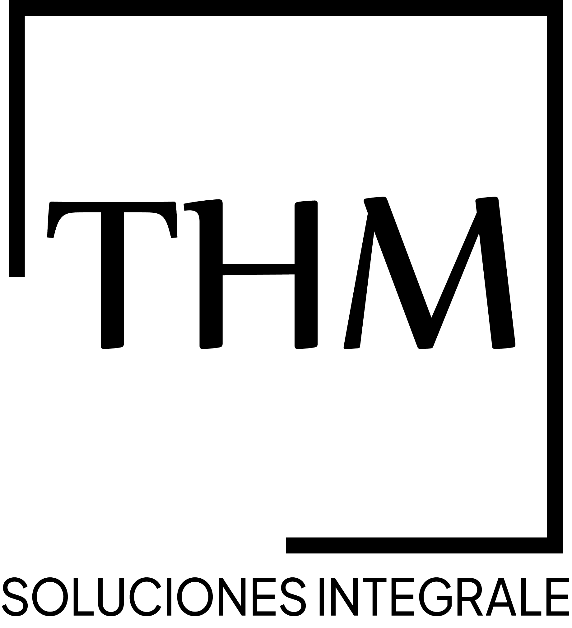 THM – SOLUCIONES INTEGRALE